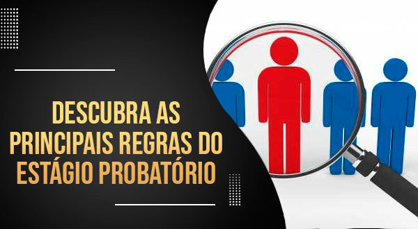 Descubra as principais regras estágio probatório - Agnaldo Bastos